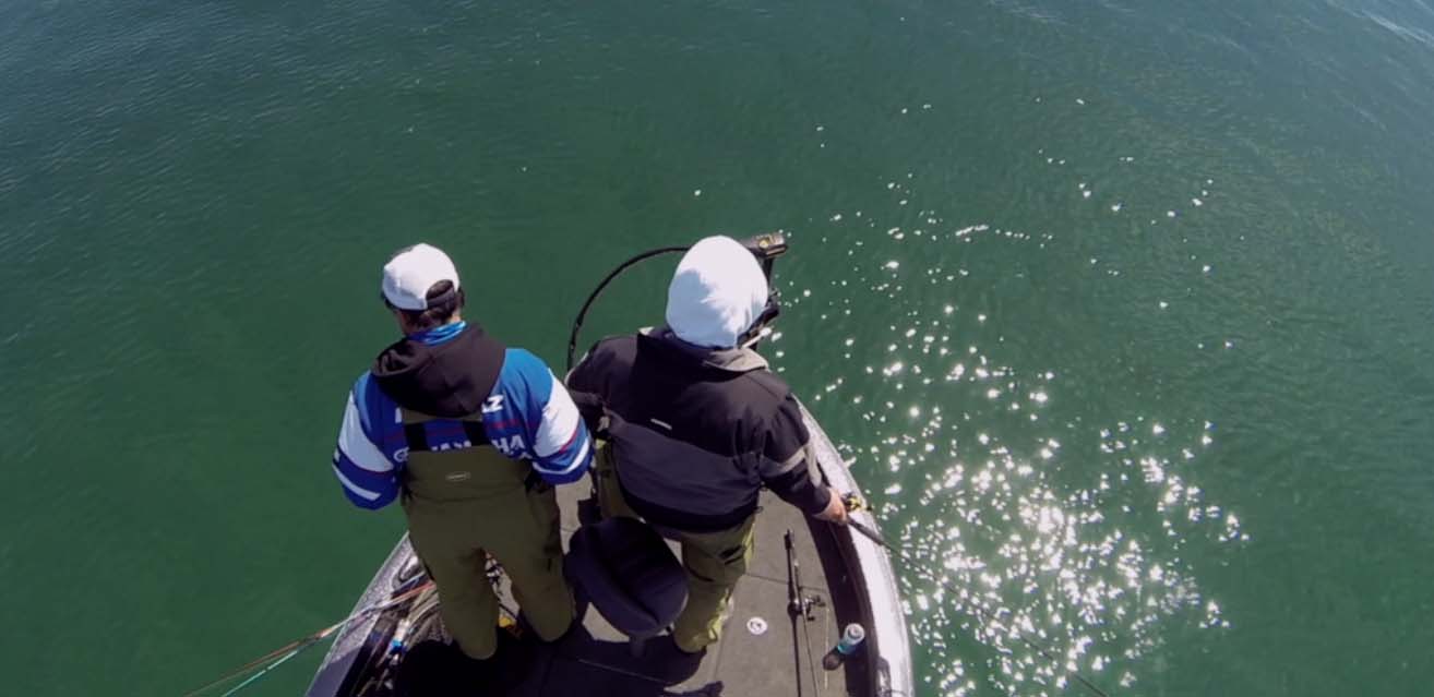 11 Tips For Sight Fishing - Lake Commandos