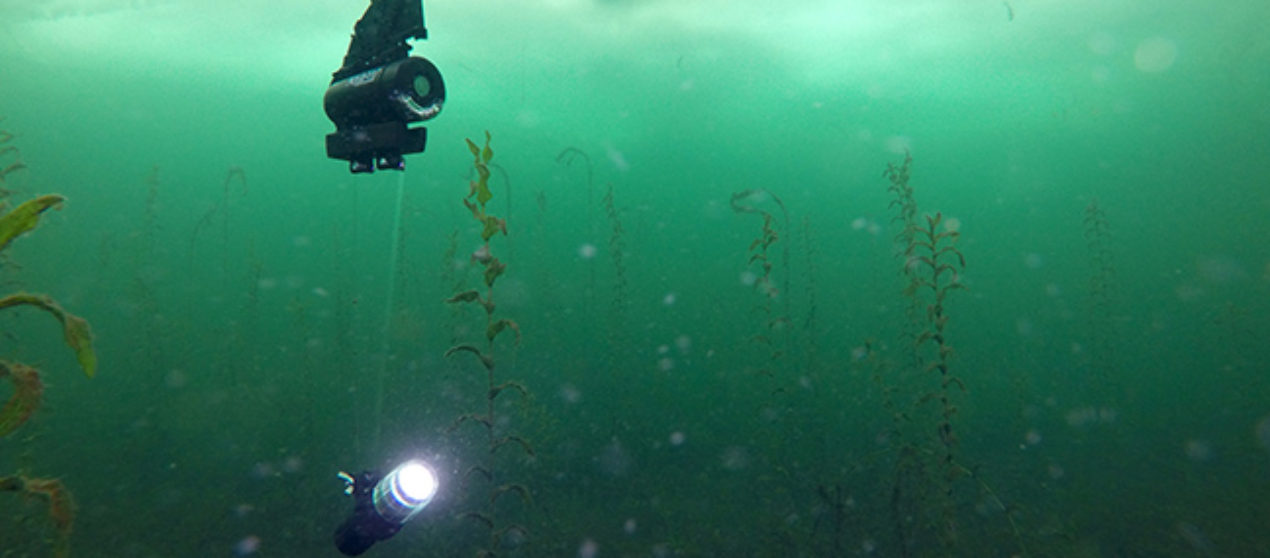 Home - Lake Commandos